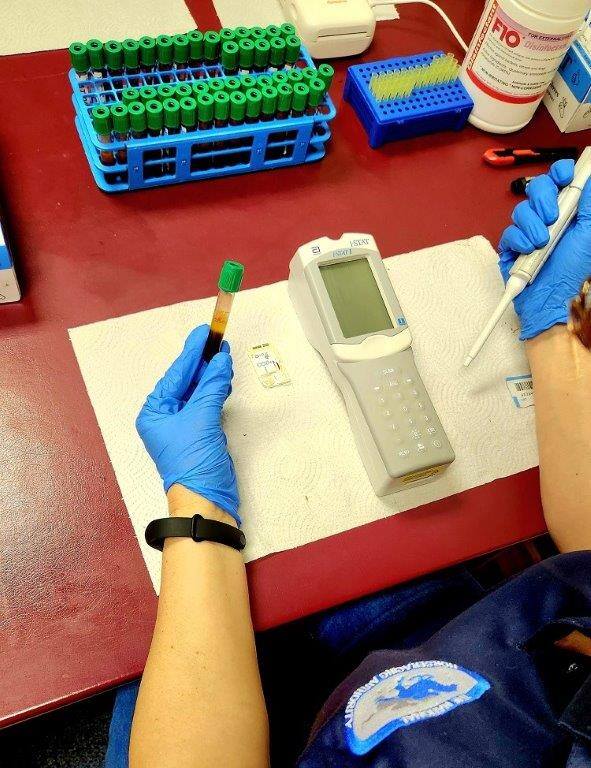 Charl Pretorius’ Equus Award-winning Article – Turf Talk